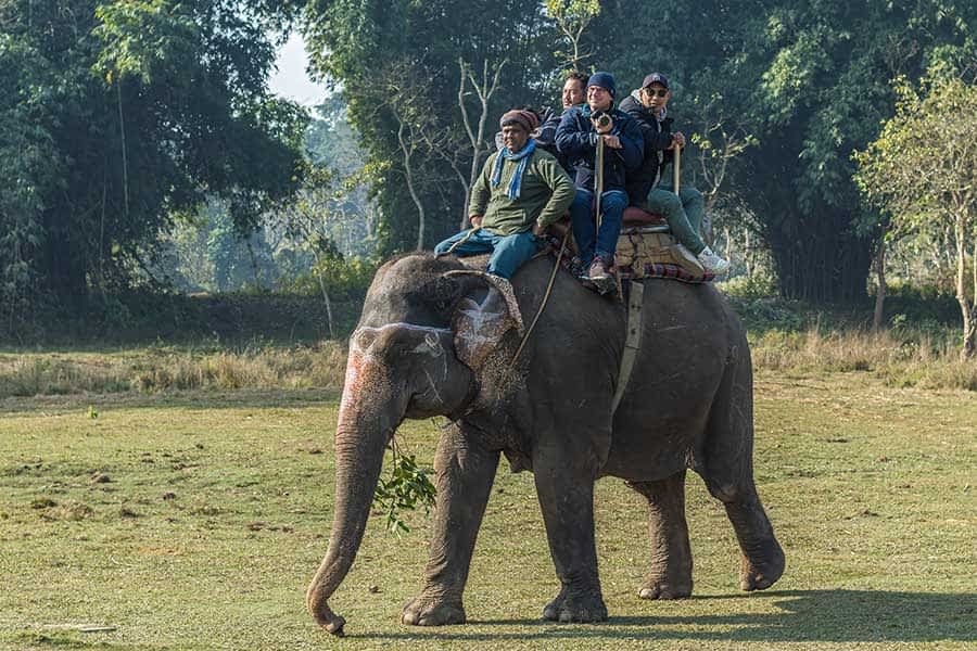 Jungle Explorers - Hotel Riverside, Sauraha